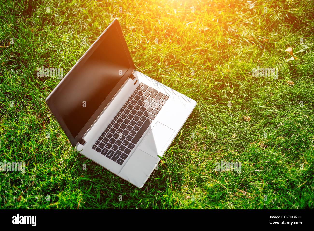 Laptop with blank screen on green lawn Stock Photo - Alamy
