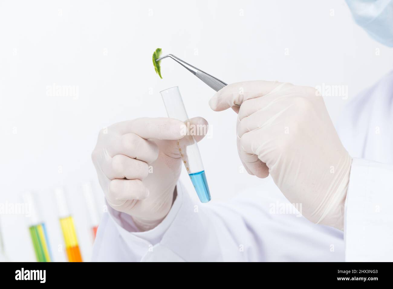 Technician puts test tube hi-res stock photography and images - Alamy