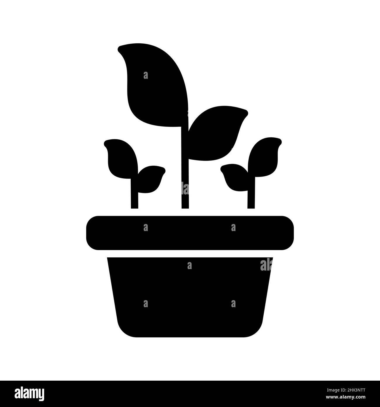 Plant in the pot vector glyph icon. Graph symbol for agriculture ...