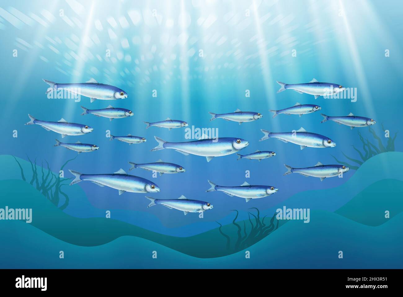 Fish colony schooling close to ocean bottom realistic underwater image ...