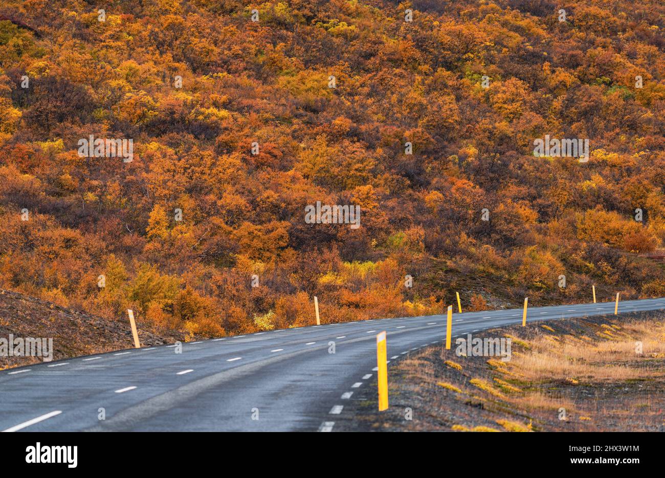 Orange colors hi-res stock photography and images - Alamy