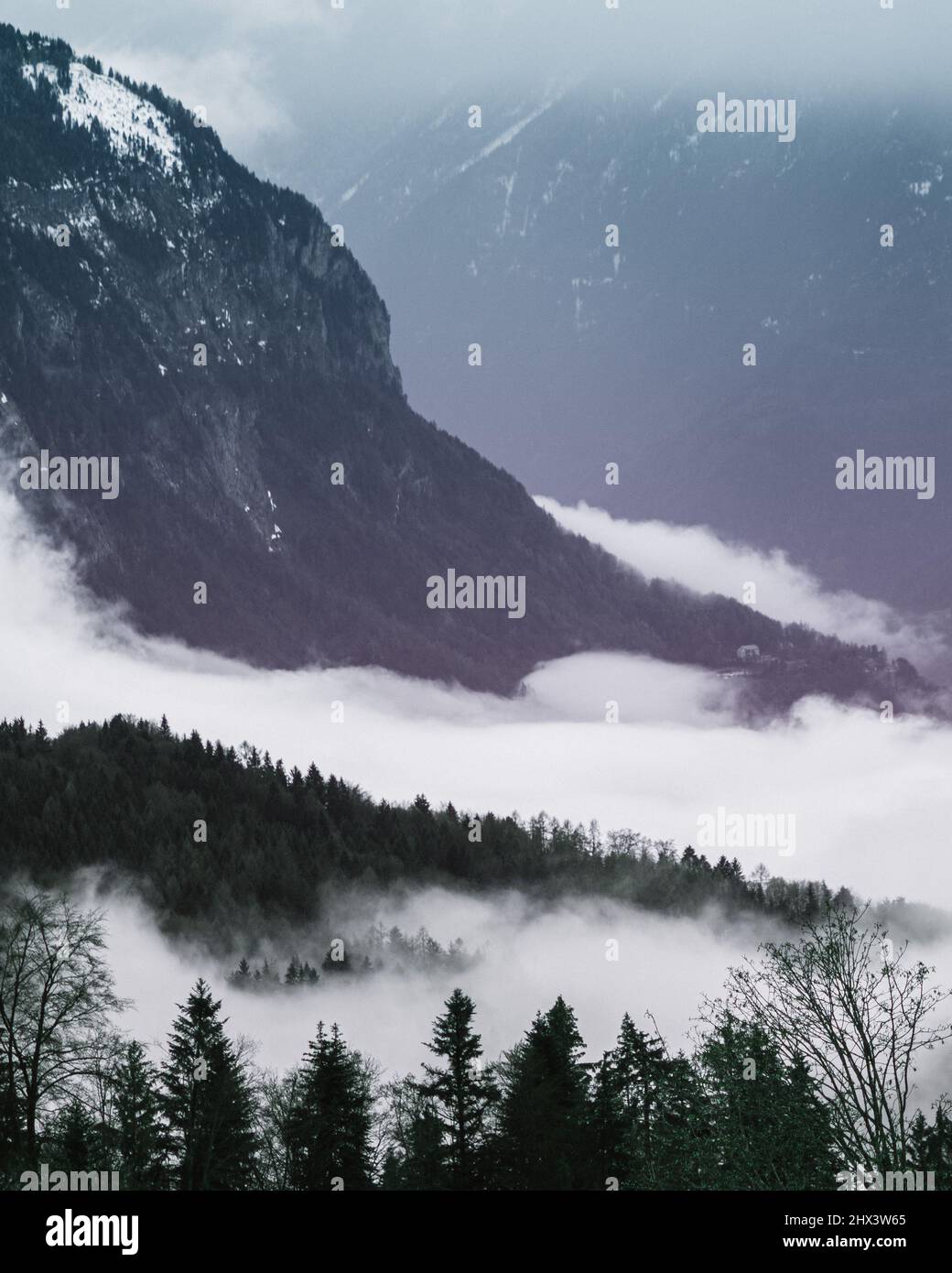 Low lying cloud in the alps Stock Photo - Alamy