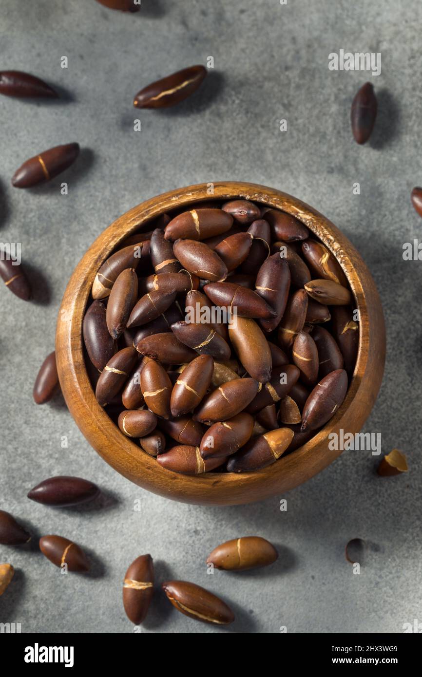 Barunuts hi-res stock photography and images - Alamy