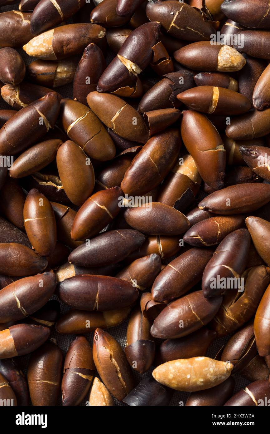 Raw Brown Organic Brazilian Baru Nuts in a Bowl Stock Photo - Alamy