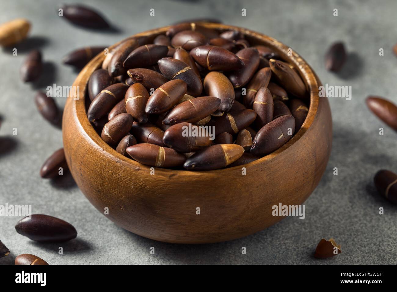 Barunuts hi-res stock photography and images - Alamy