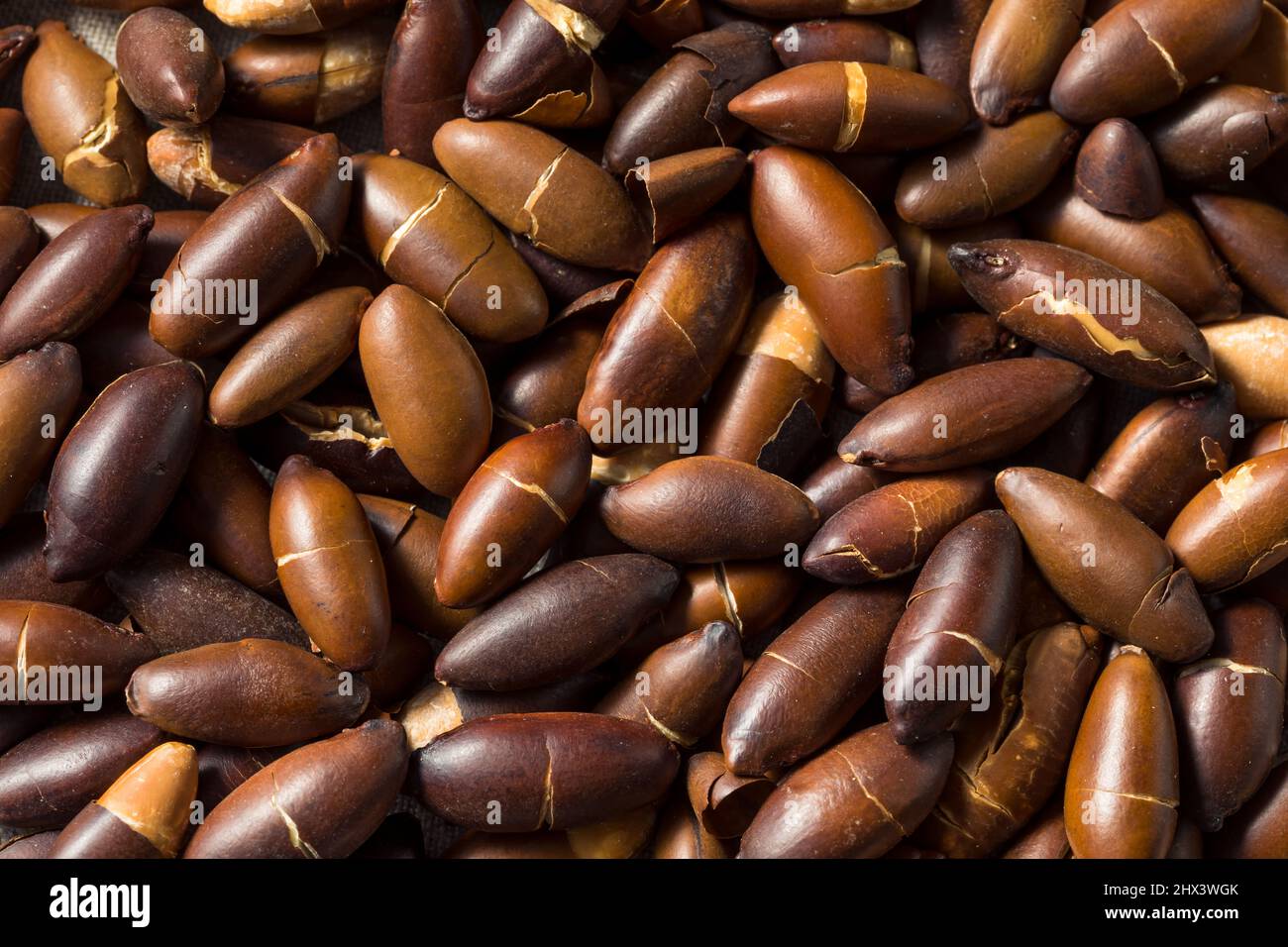 Raw Brown Organic Brazilian Baru Nuts in a Bowl Stock Photo - Alamy