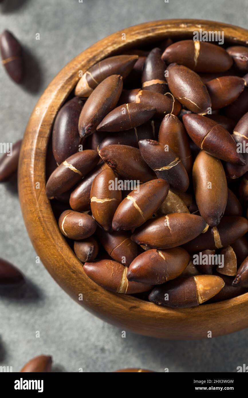 Barunuts hi-res stock photography and images - Alamy