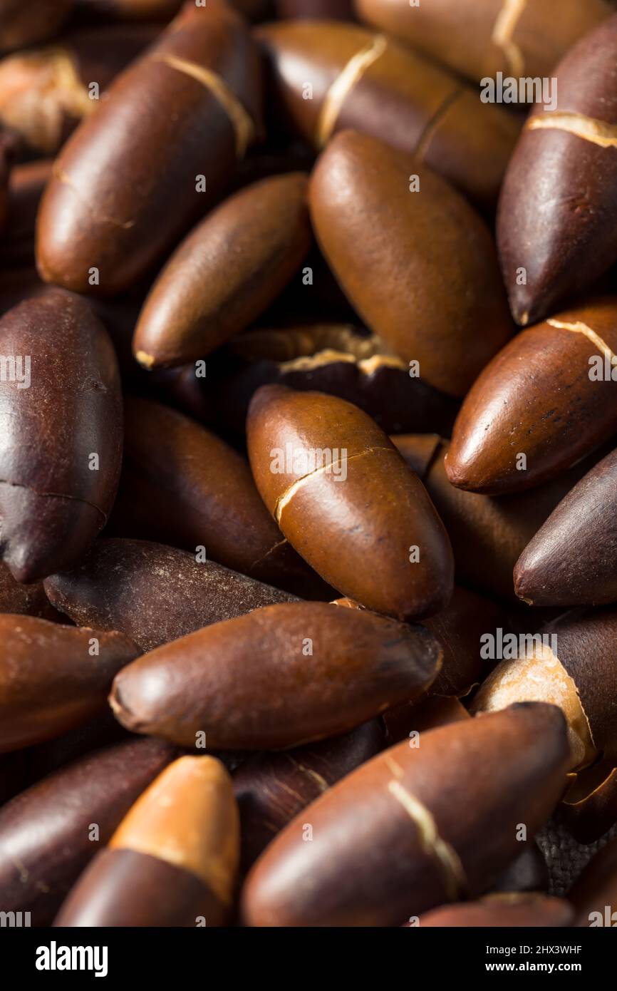 Raw Brown Organic Brazilian Baru Nuts in a Bowl Stock Photo - Alamy