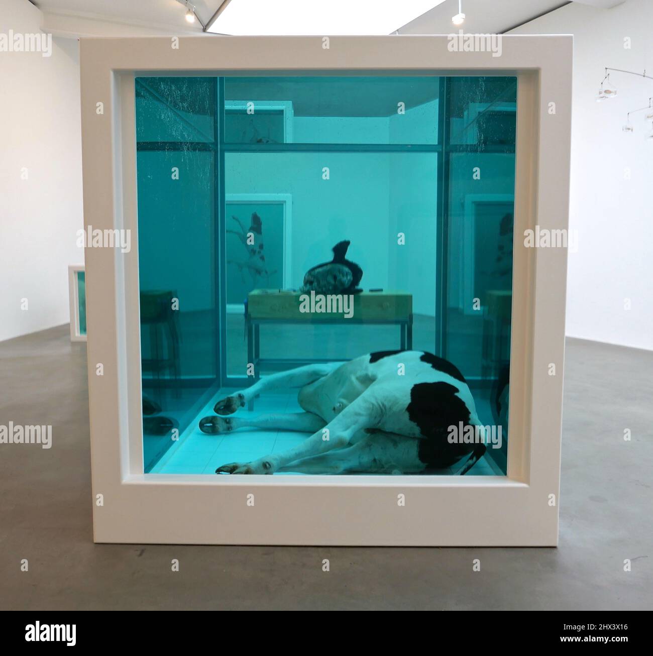 Damien hirst sheep formaldehyde hi-res stock photography and images - Alamy