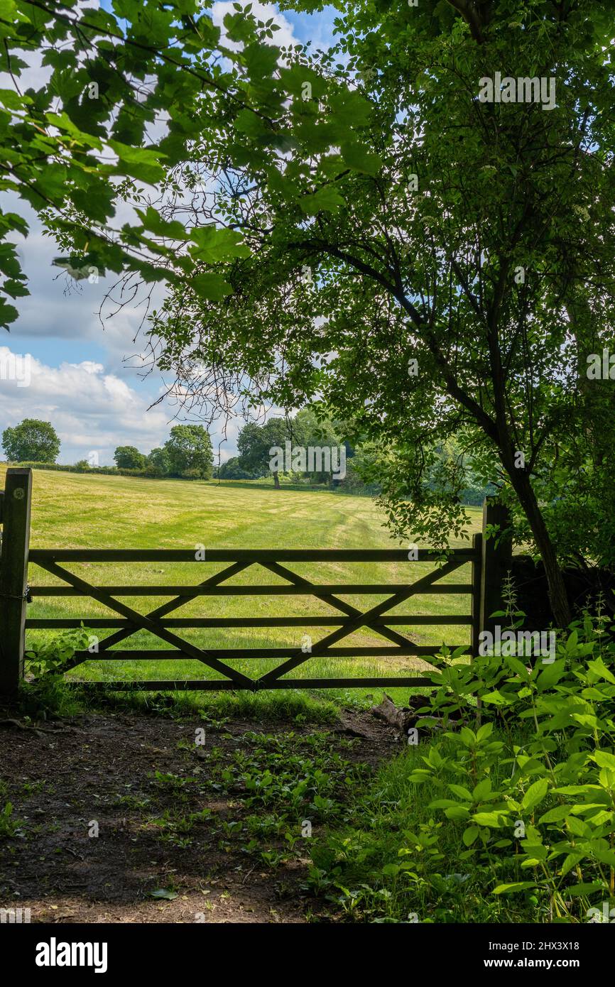 The summertime scene: a locked wooden gate with overhanging trees ...