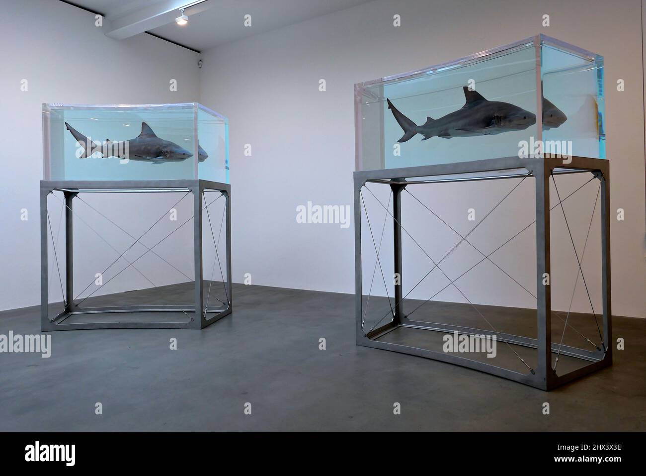 Damien hirst formaldehyde sculptures hi-res stock photography and ...