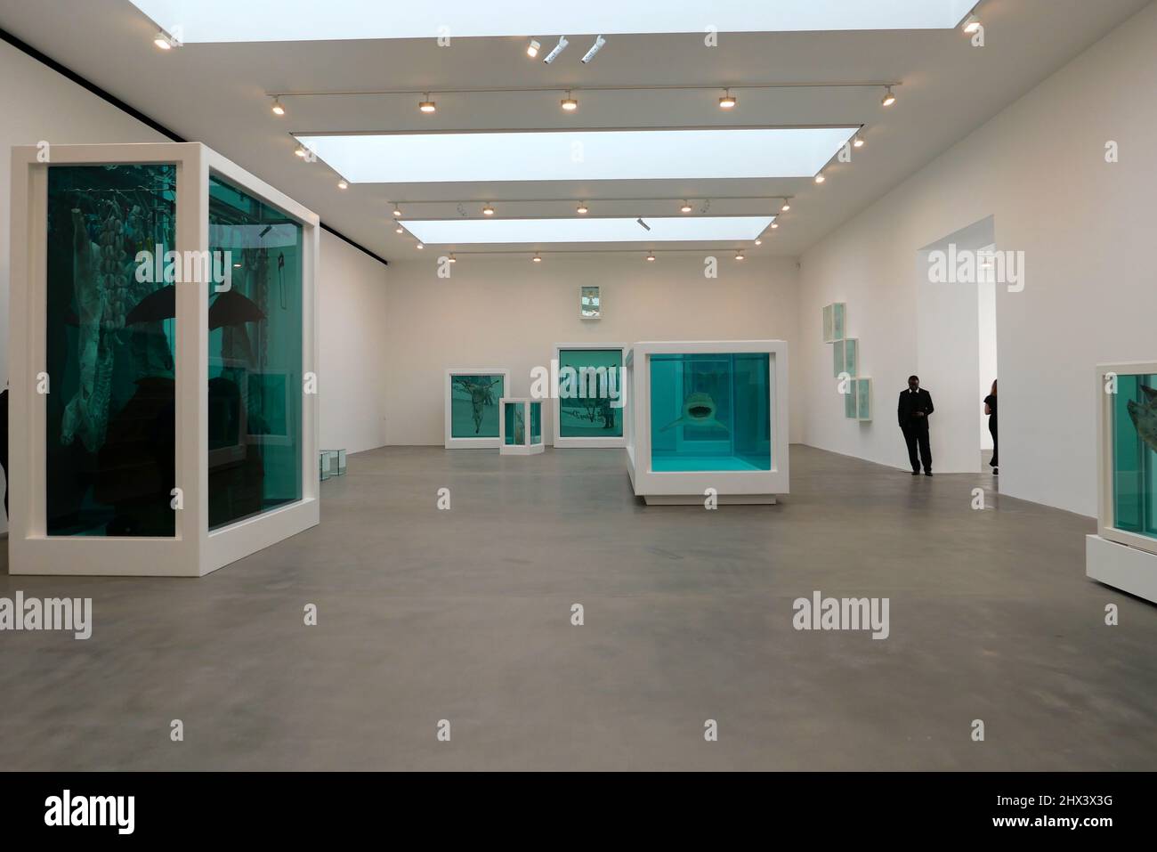 Damien hirst's shark hi-res stock photography and images - Alamy