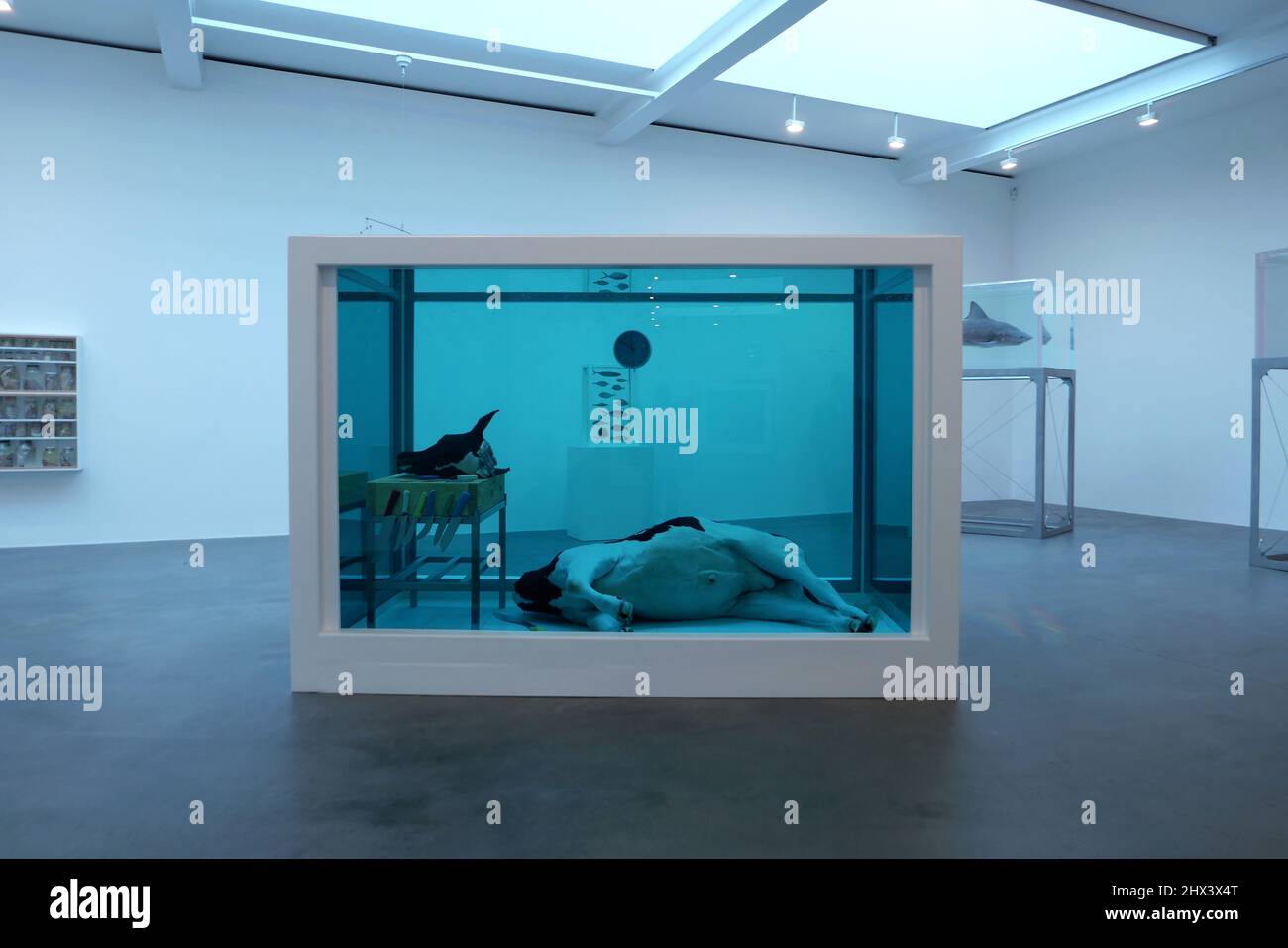 Schizophrenogenis 2008 hi-res stock photography and images - Alamy