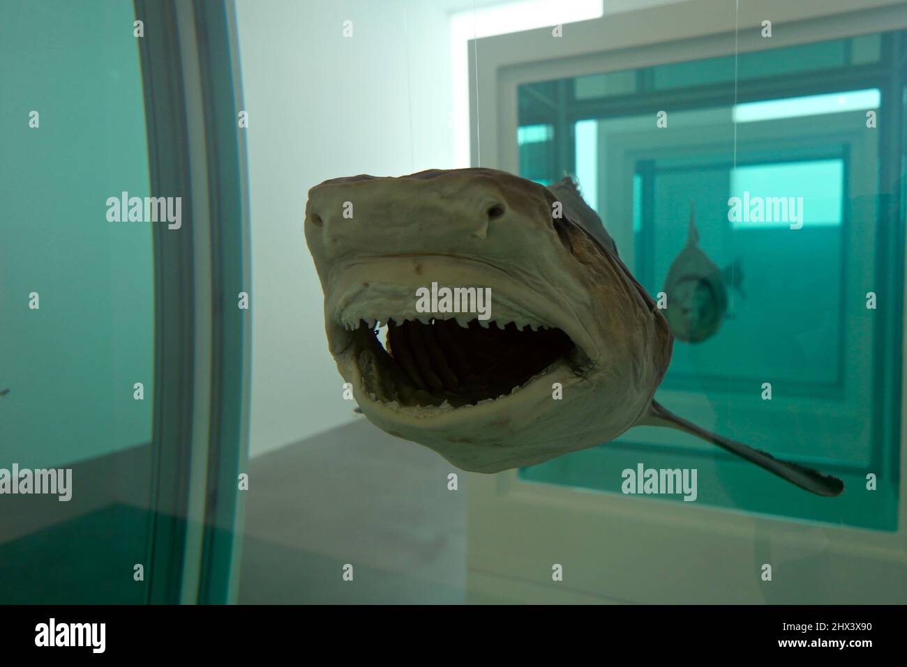 Damien hirst formaldehyde sculptures hi-res stock photography and ...