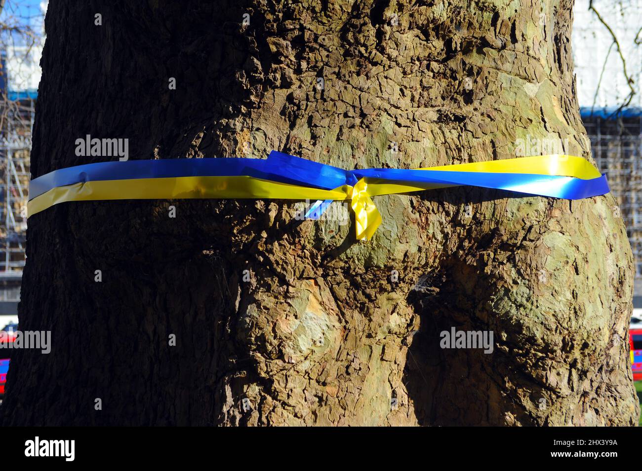 London, UK. 9th Mar, 2022. Ribbons in the colours of the Ukraine flag ...