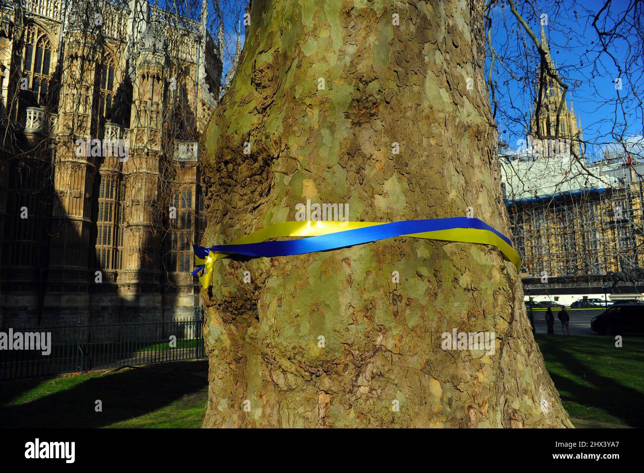 London, UK. 9th Mar, 2022. Ribbons in the colours of the Ukraine flag ...