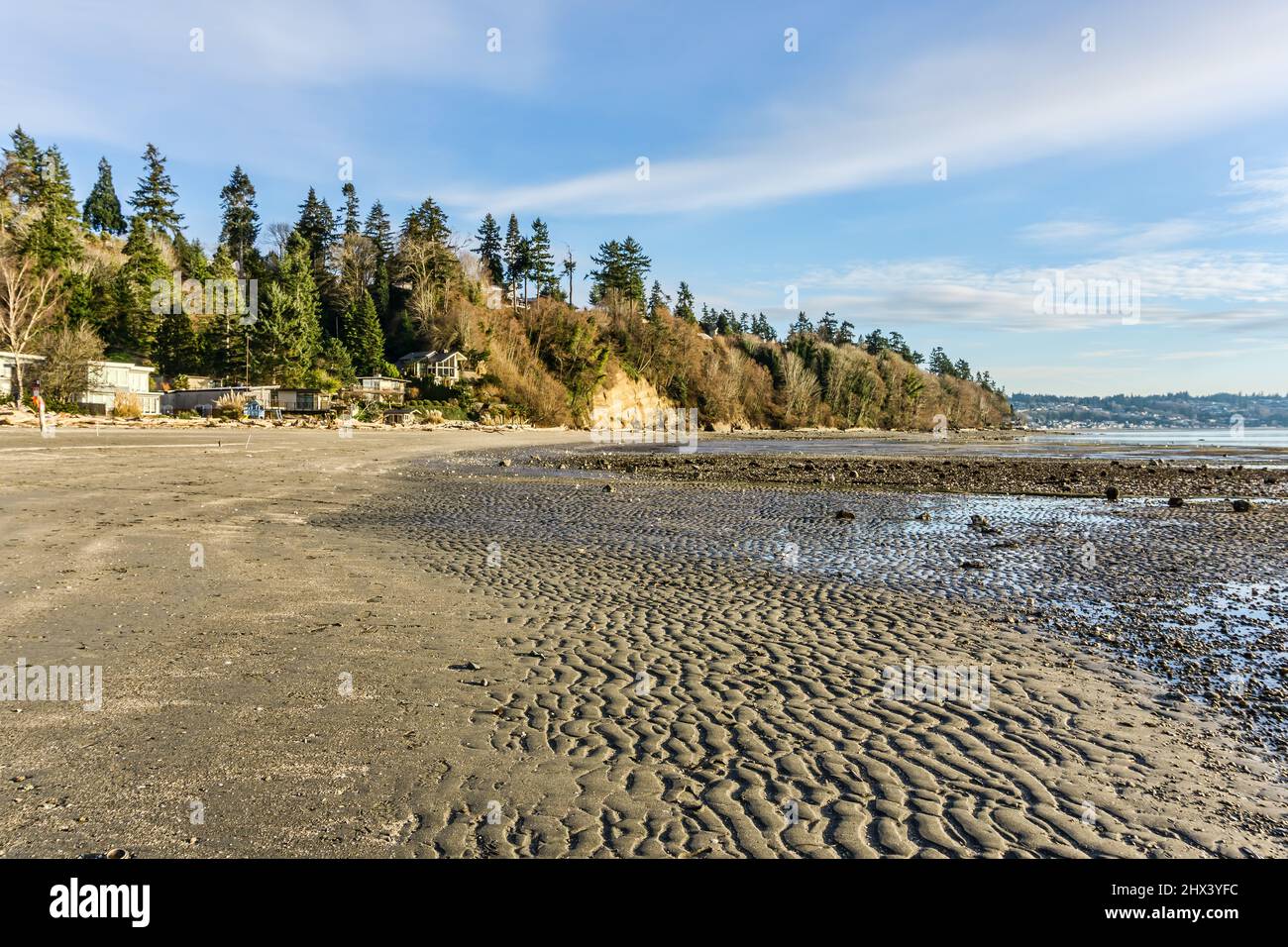 The shoreline at Saltwater State Park in Des Moines, Washington Stock ...