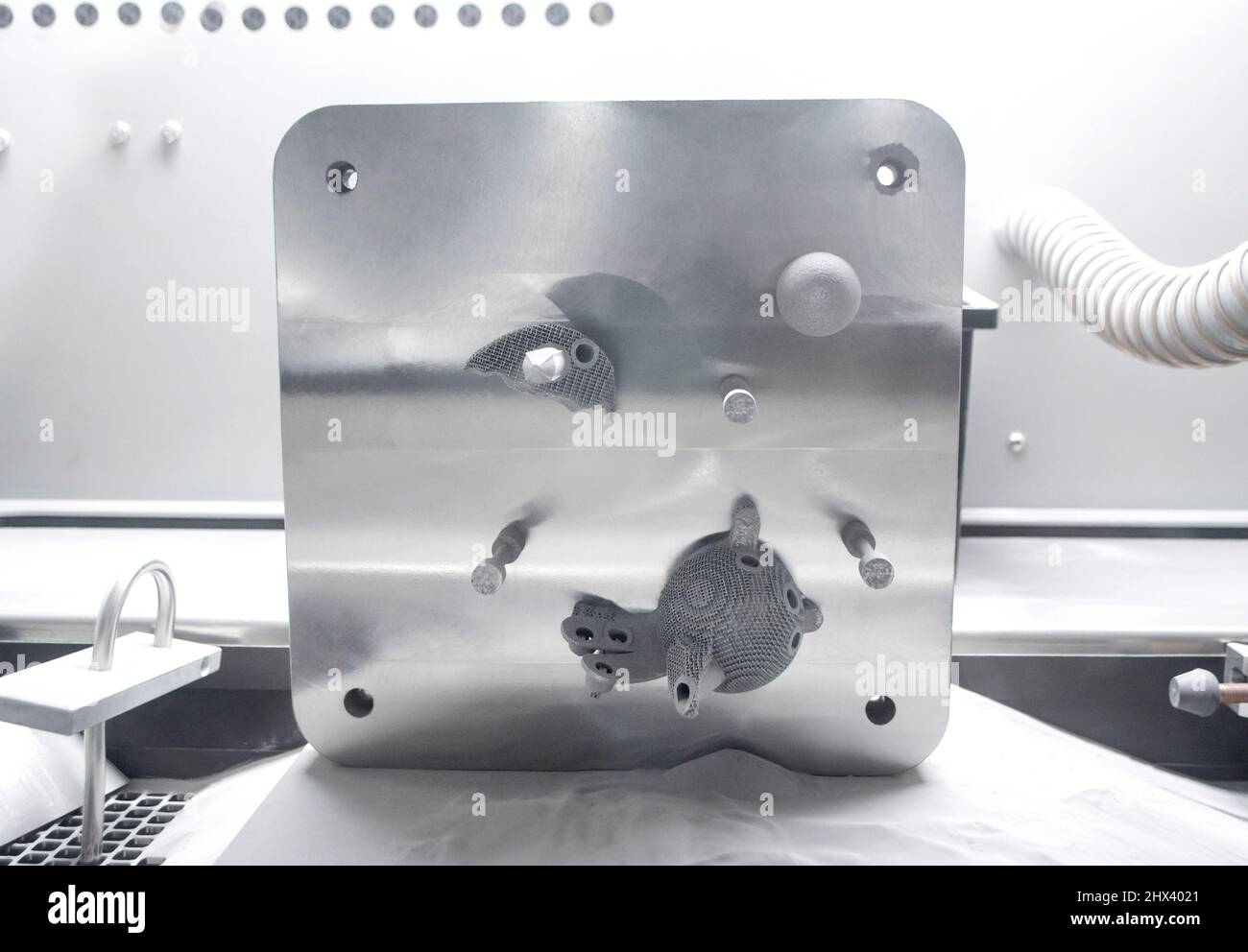 Platform with Objects Printed From Metal Powder Stands in Working ...