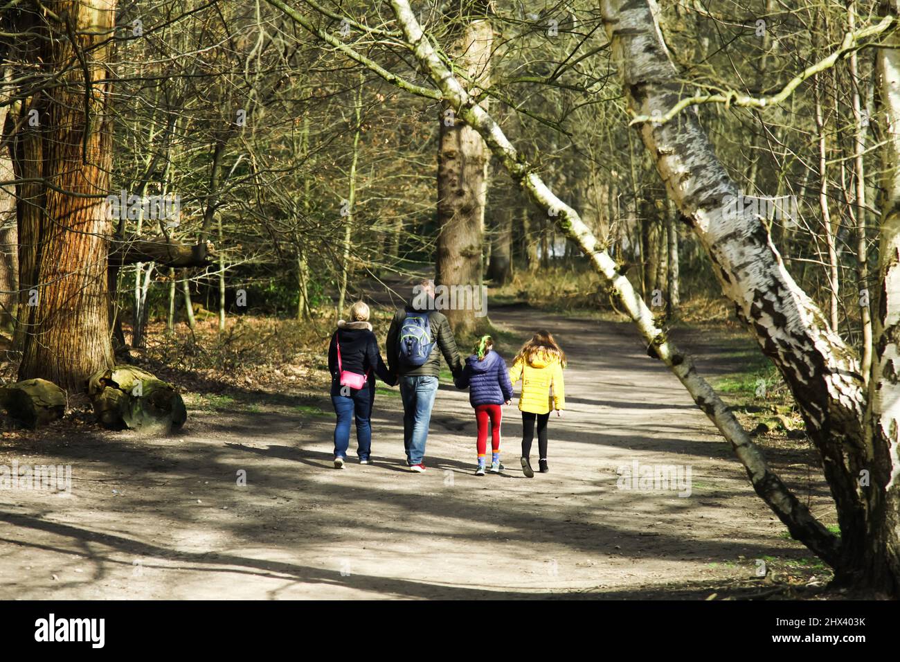 A family out for a spring walk in the woods, Windsor Great Park ...