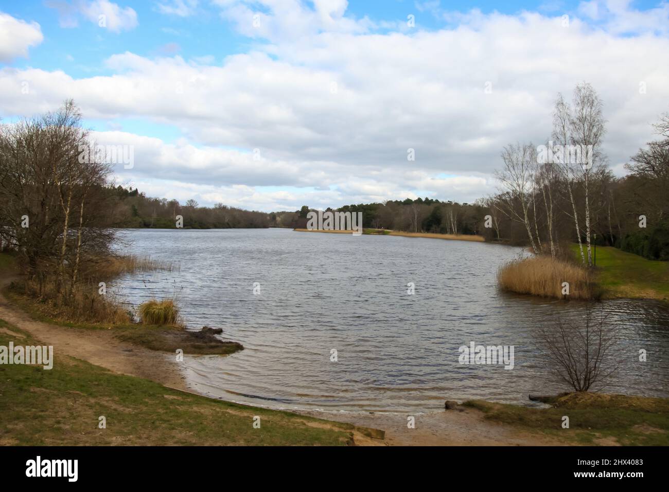 Virginia Water Lake, Windsor Great Park, Surrey, England, UK March 2022 ...