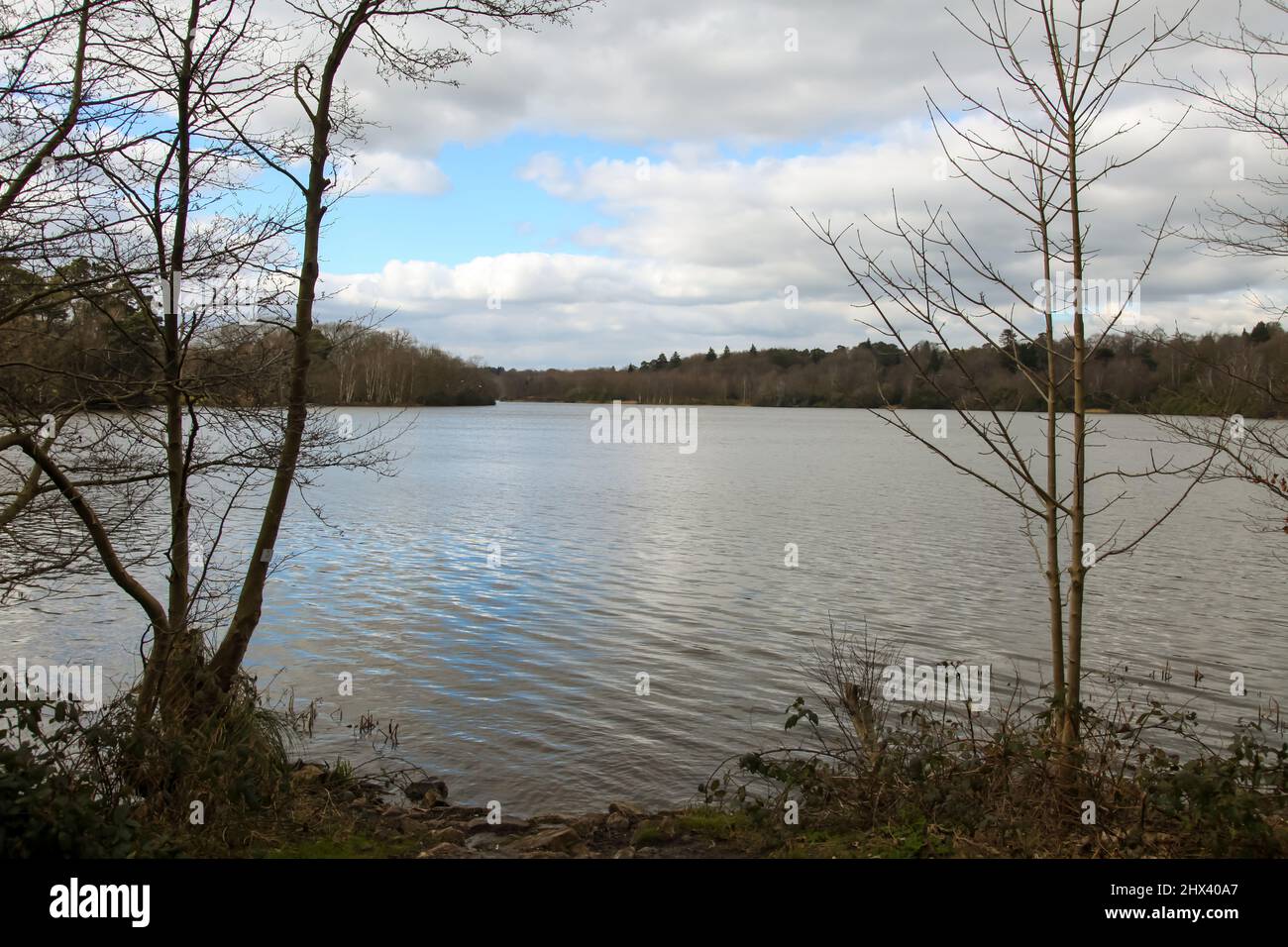 Virginia Water Lake, Windsor Great Park, Surrey, England, UK March 2022 ...