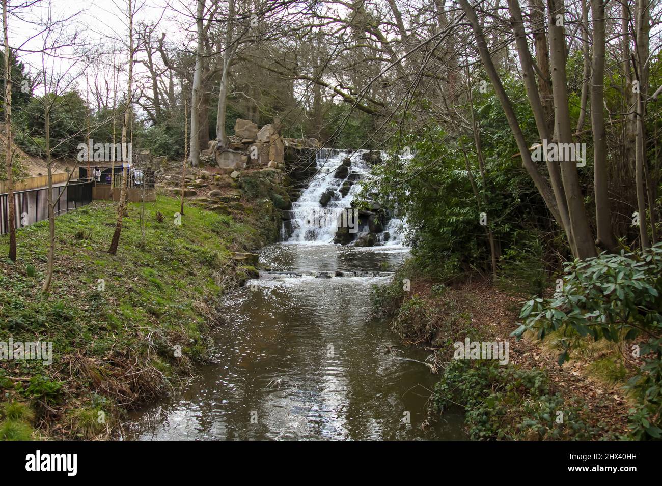The Cascade waterfall at Virginia Water Lake, Windsor Great Park ...