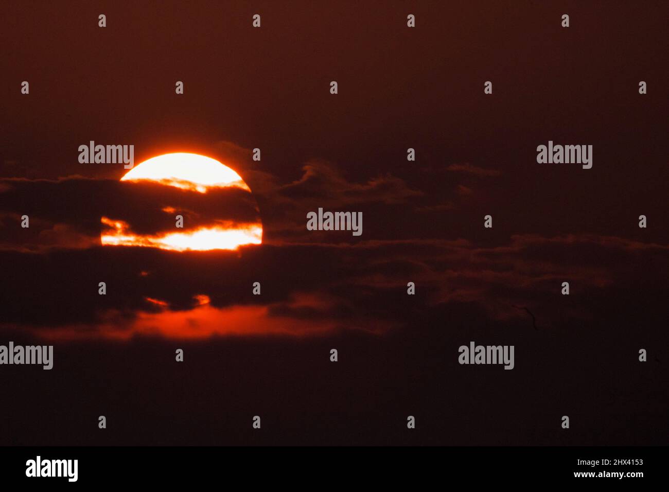 South african bushveld sunset hi-res stock photography and images - Alamy