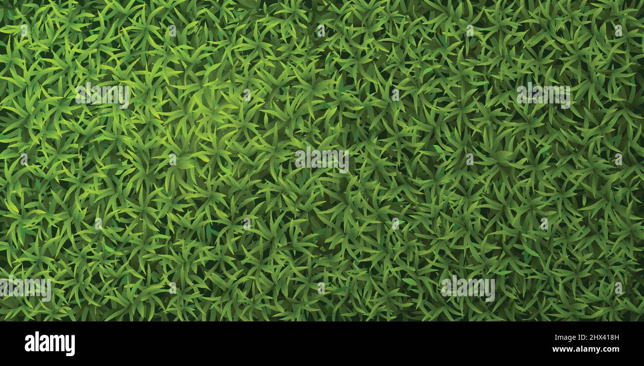 Grass texture top view Stock Vector Images - Alamy