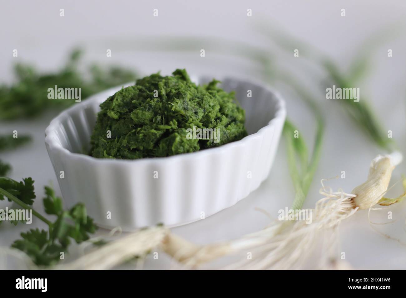 Spicy green garlic condiment, prepared with spring garlic, coriander ...