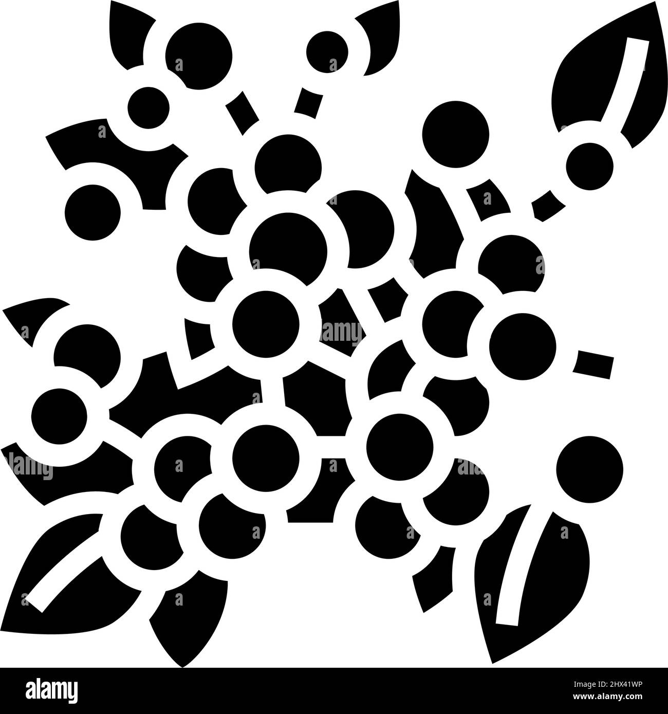 huckleberry plant branch glyph icon vector illustration Stock Vector ...