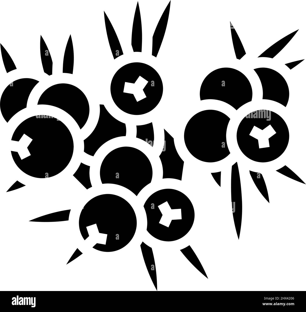 juniper berry glyph icon vector illustration Stock Vector Image & Art ...