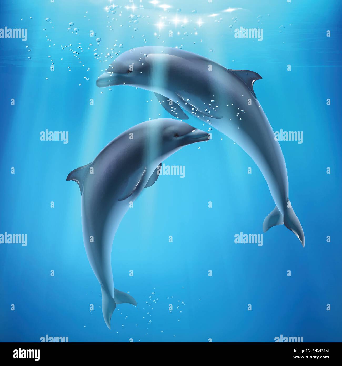 Dolphin in sea realistic and colored composition two dolphins swim ...