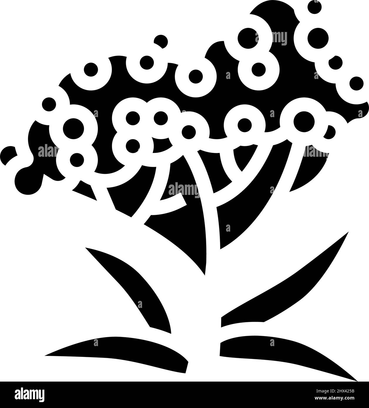 elderberry tree branch glyph icon vector illustration Stock Vector ...