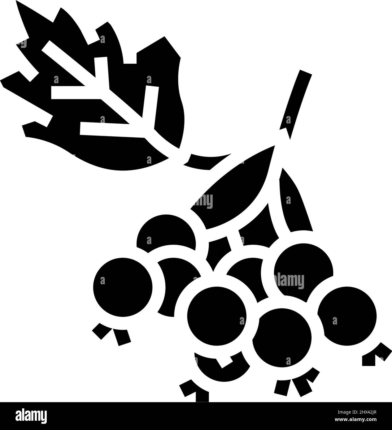 Hawthorn tree leaves Black and White Stock Photos & Images - Alamy