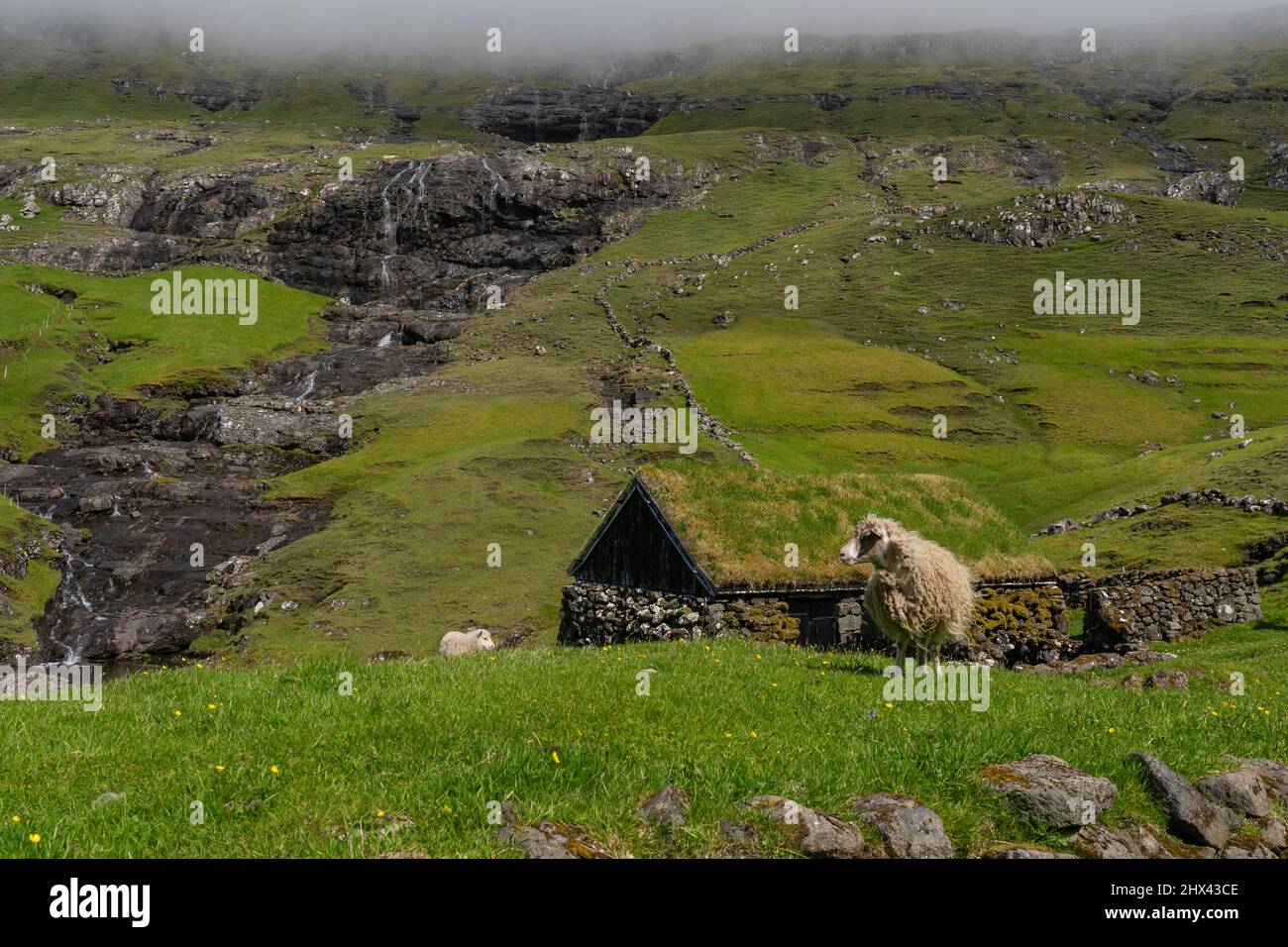 Streymoy island hi-res stock photography and images - Alamy