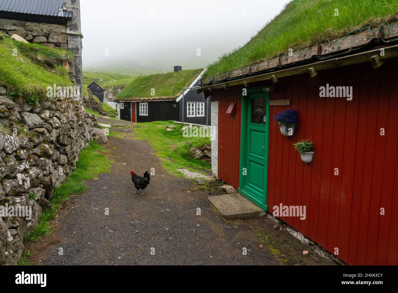 Mykines Island, Faroe Islands, Denmark Stock Photo - Alamy