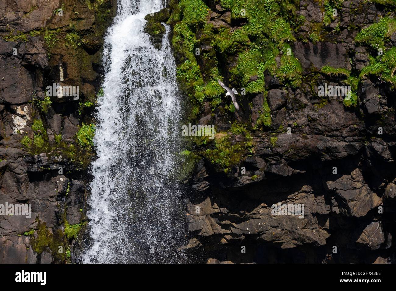 Mulafossur waterfall, Gasaldur, Vagar Island, Faroe Islands, Denmark ...
