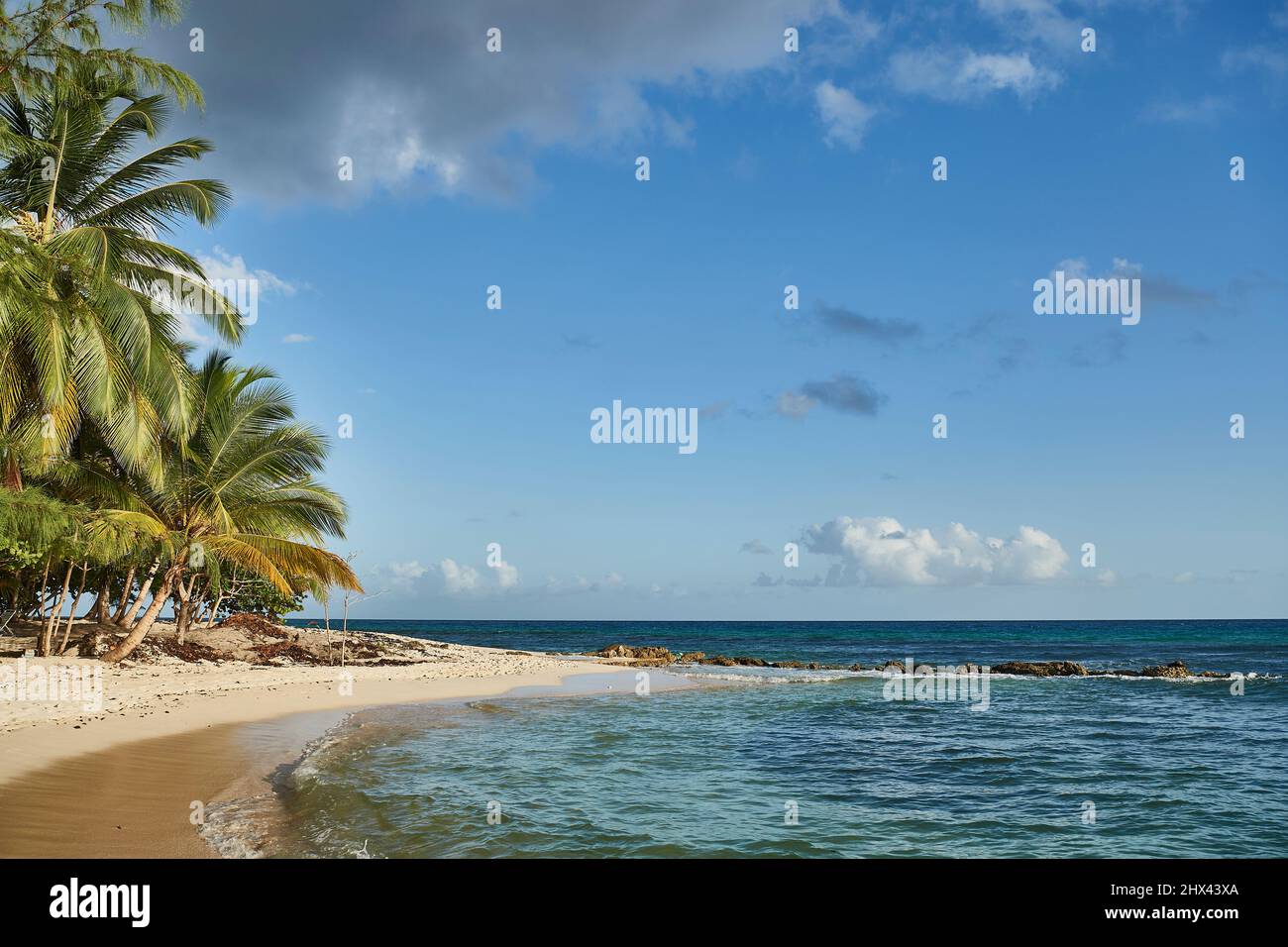 Sandy beach in Barbados Stock Photo - Alamy