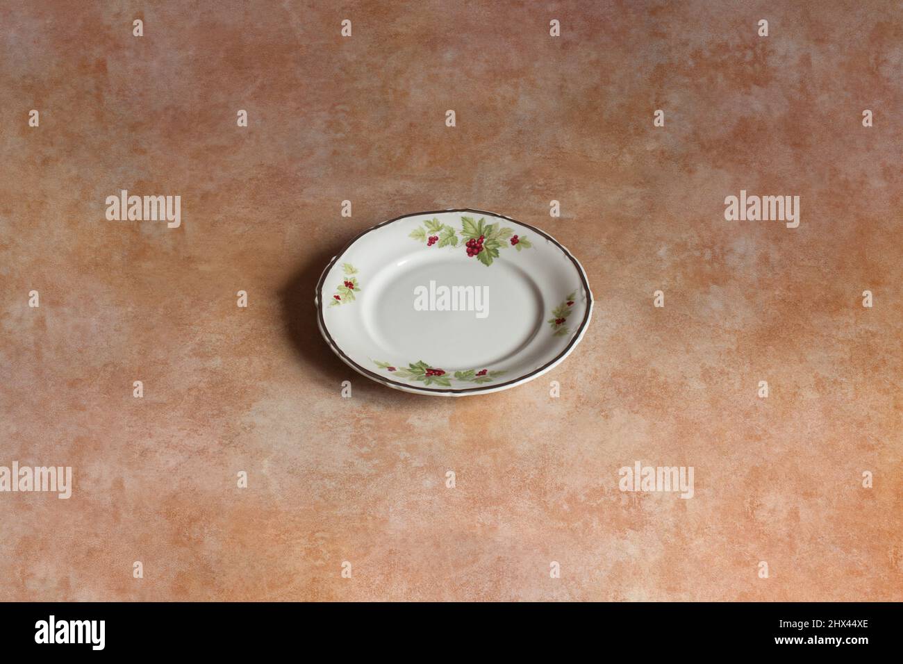 Classic plate isolated and hand-painted with decorative vineyard ...