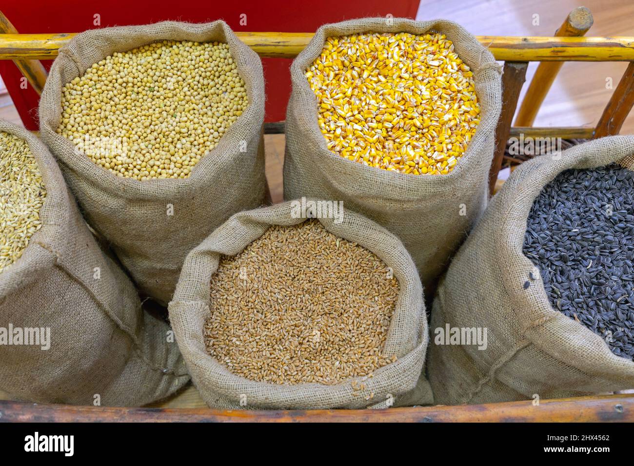 Various farm seeds hi-res stock photography and images - Alamy