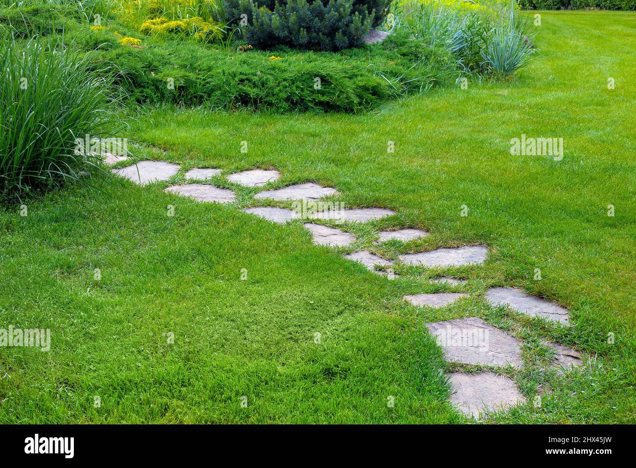 rough different shapes of natural stone path paved in the green ...