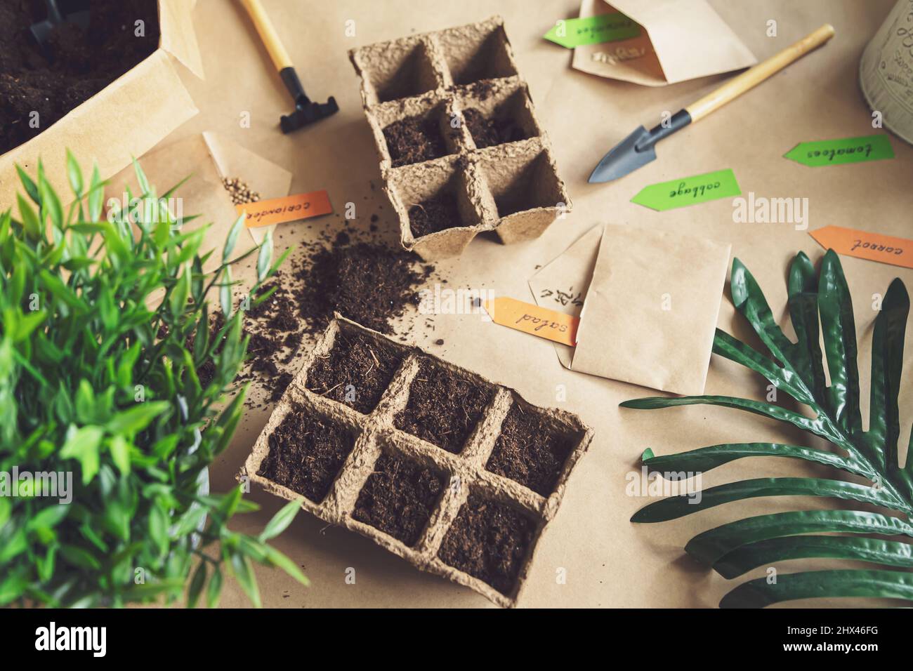 Planting vegetables in the home garden. Home gardening, hobbies and ...