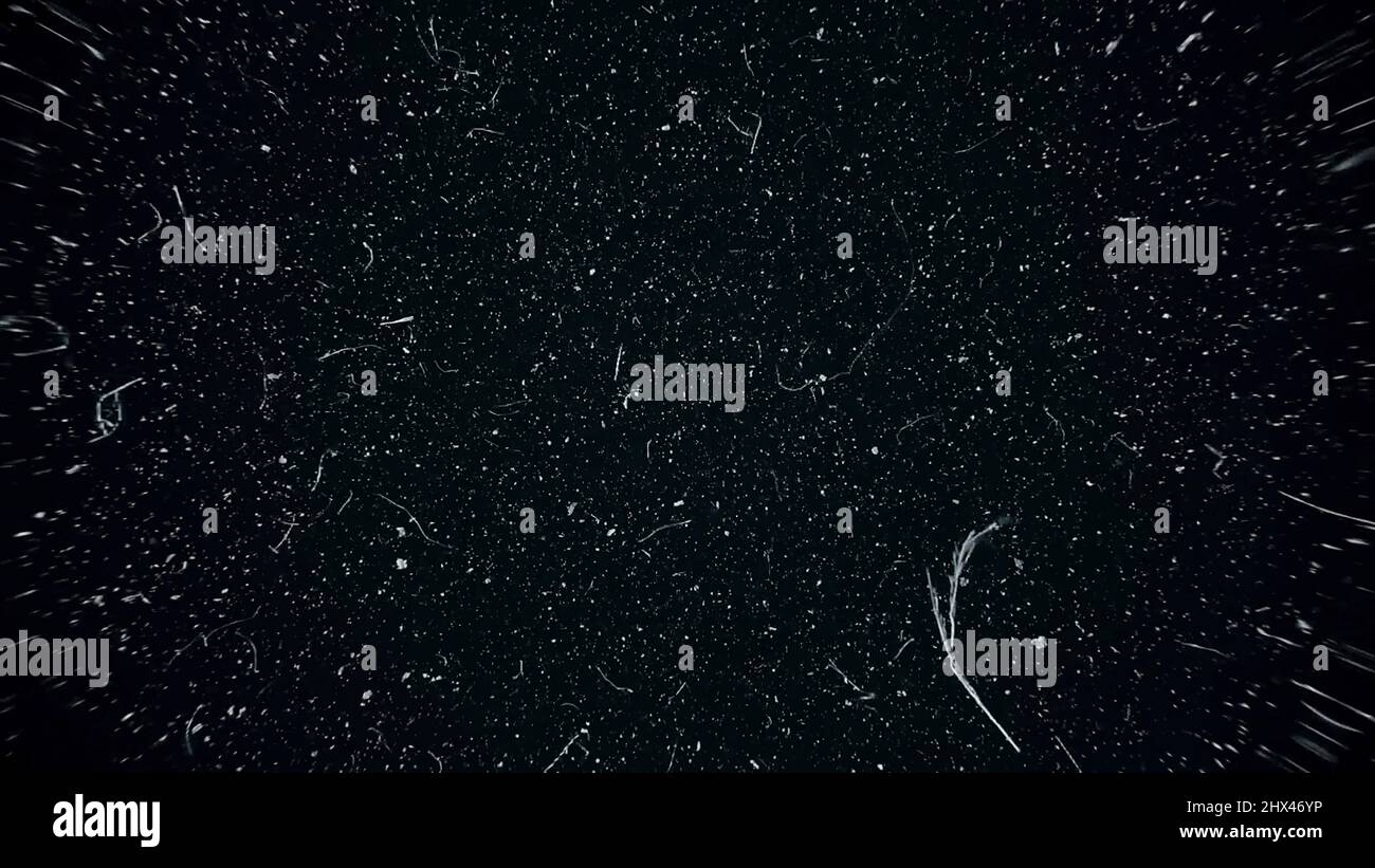 White dust particles moving slowly in space on black background ...