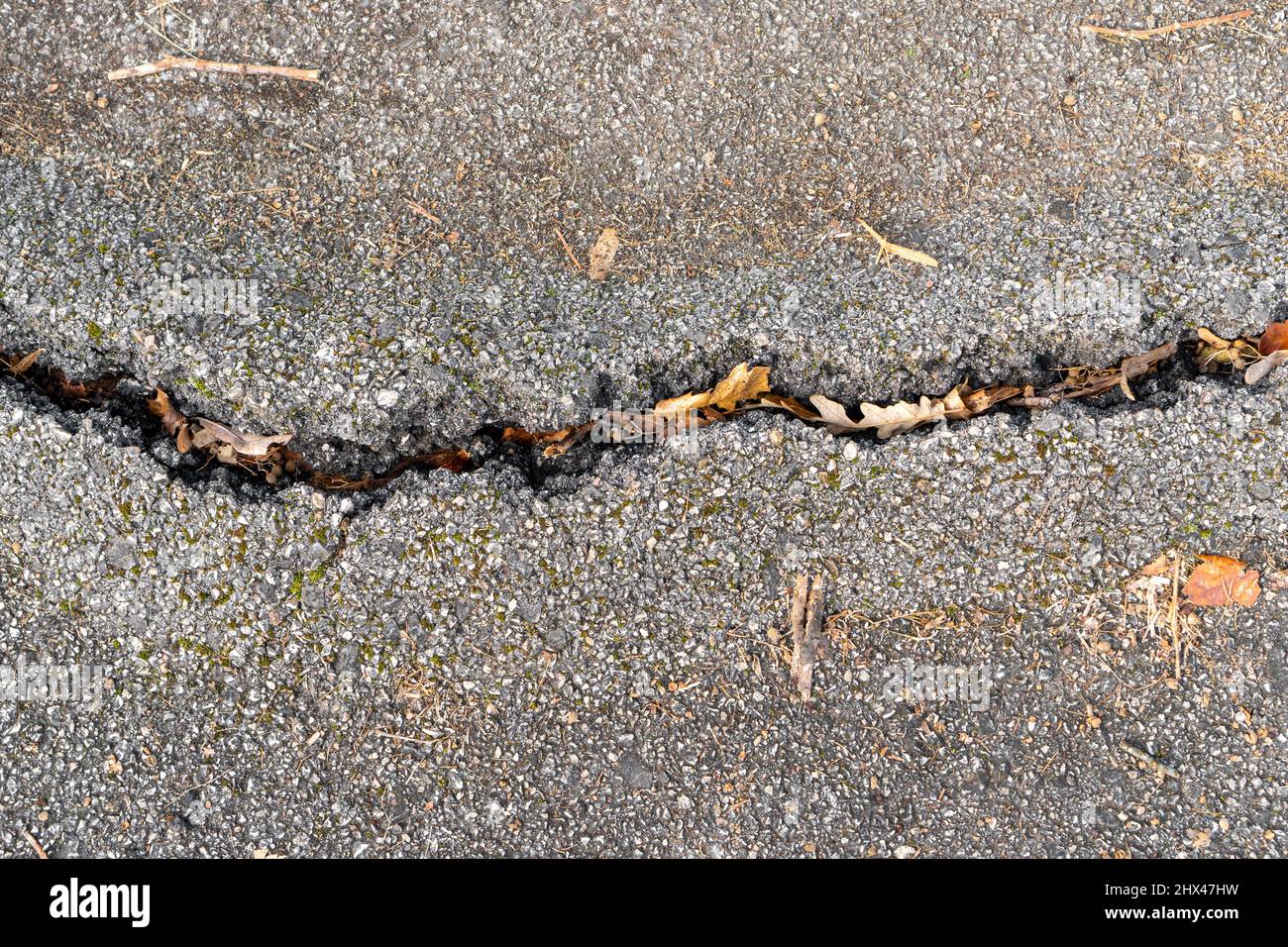 Crack in the asphalt road close-up. Break of the pavement surface Stock ...