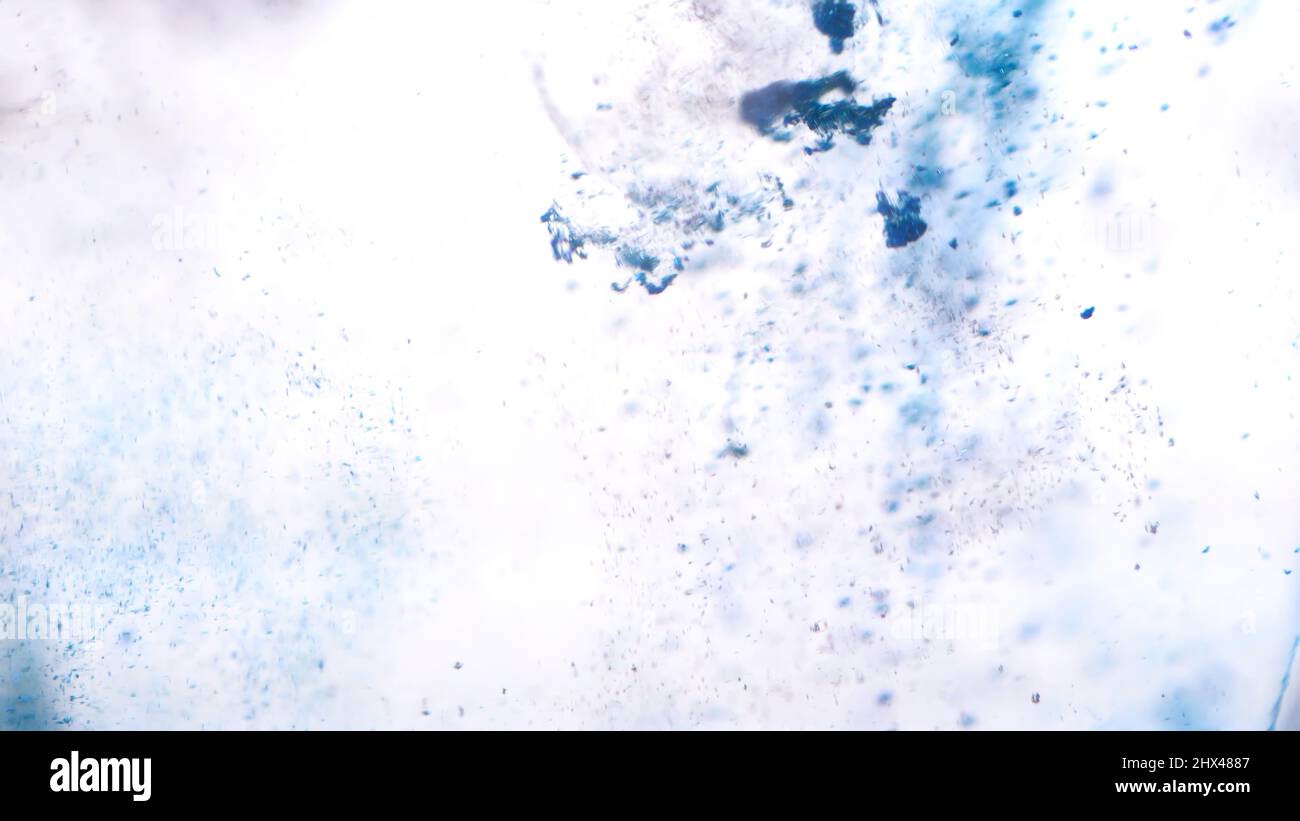 Blue dry inks falling in clear water and coloring it, side view. Paint ...