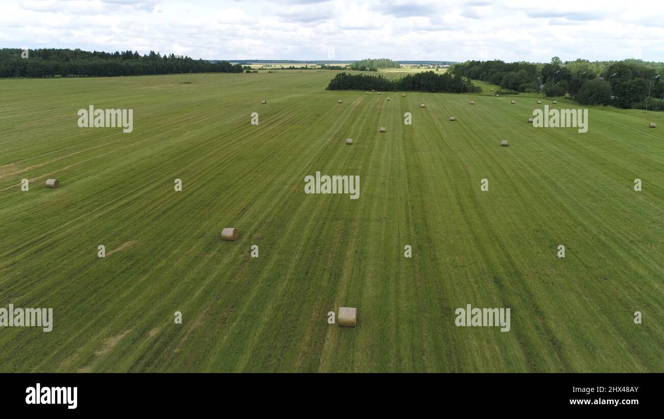 Big hay bale rolls on a green field with blue sky and clouds on the ...