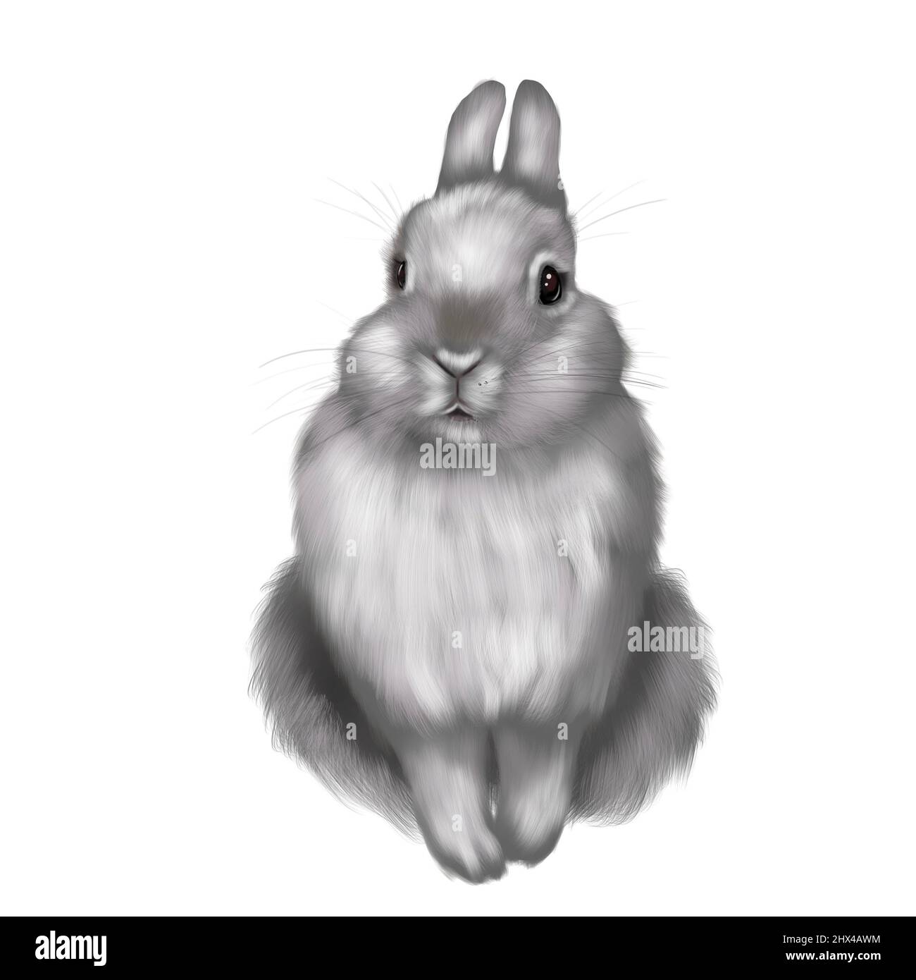 watercolor realistic gray rabbit. Illustration of a bunny Stock Photo ...