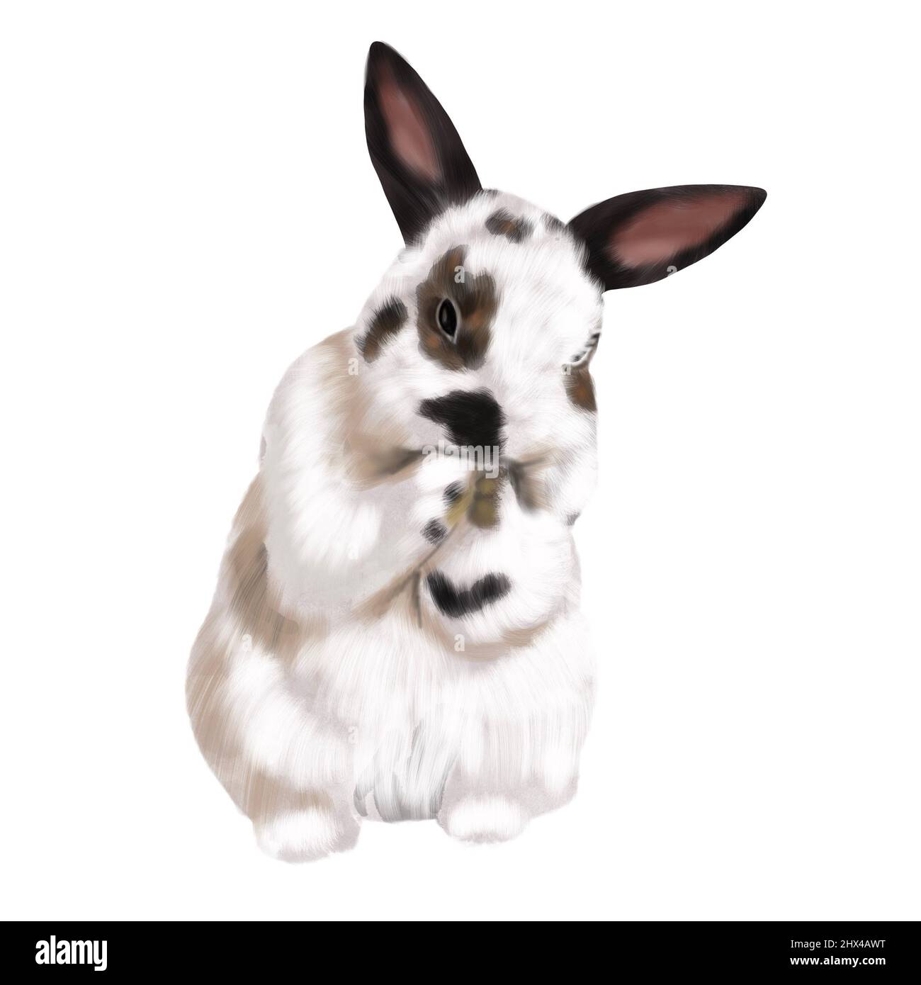 Rabbit illustration portrait hi-res stock photography and images - Alamy