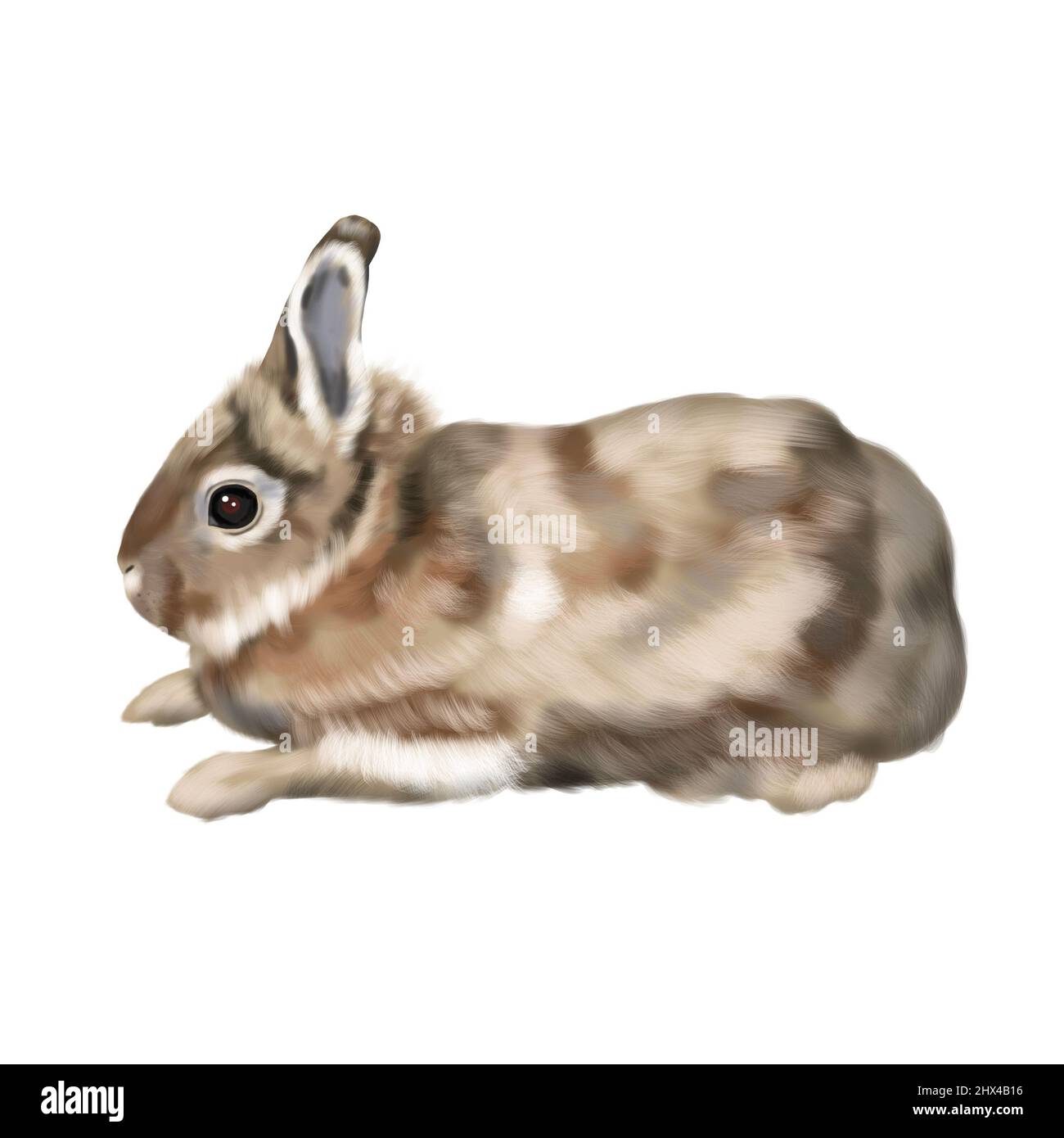 Bunny realistic painting Cut Out Stock Images & Pictures - Alamy