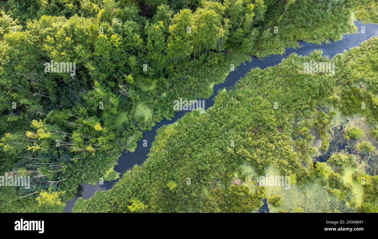 Scenics view to the small river flowing across green forest, aerial ...